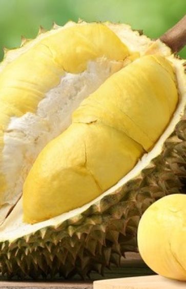 Les meilleures croisières à la baie de Halong [2023] - Vietnam